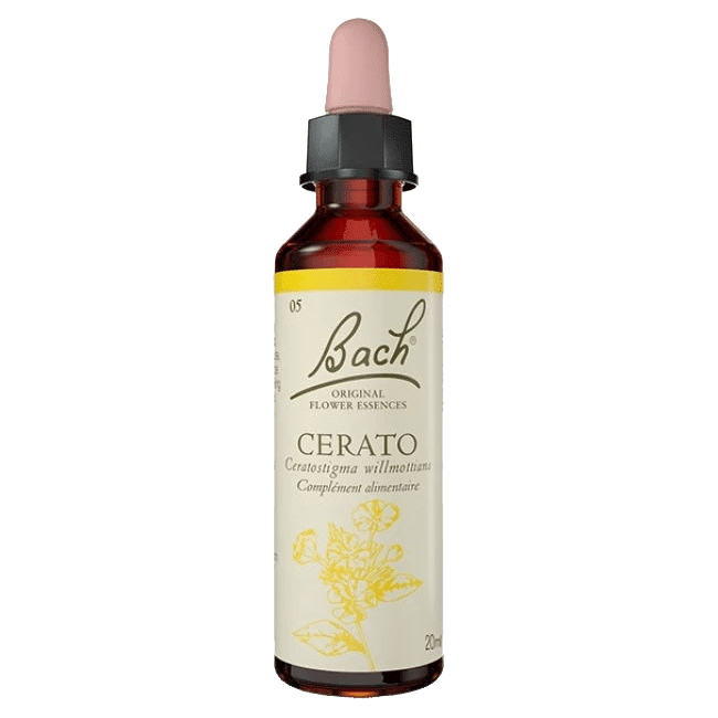 Cerato Bach Original - Fleur de Bach Authentique | Bien-Être Essentiel